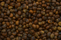 Products – Exquisite Delicacies Inc